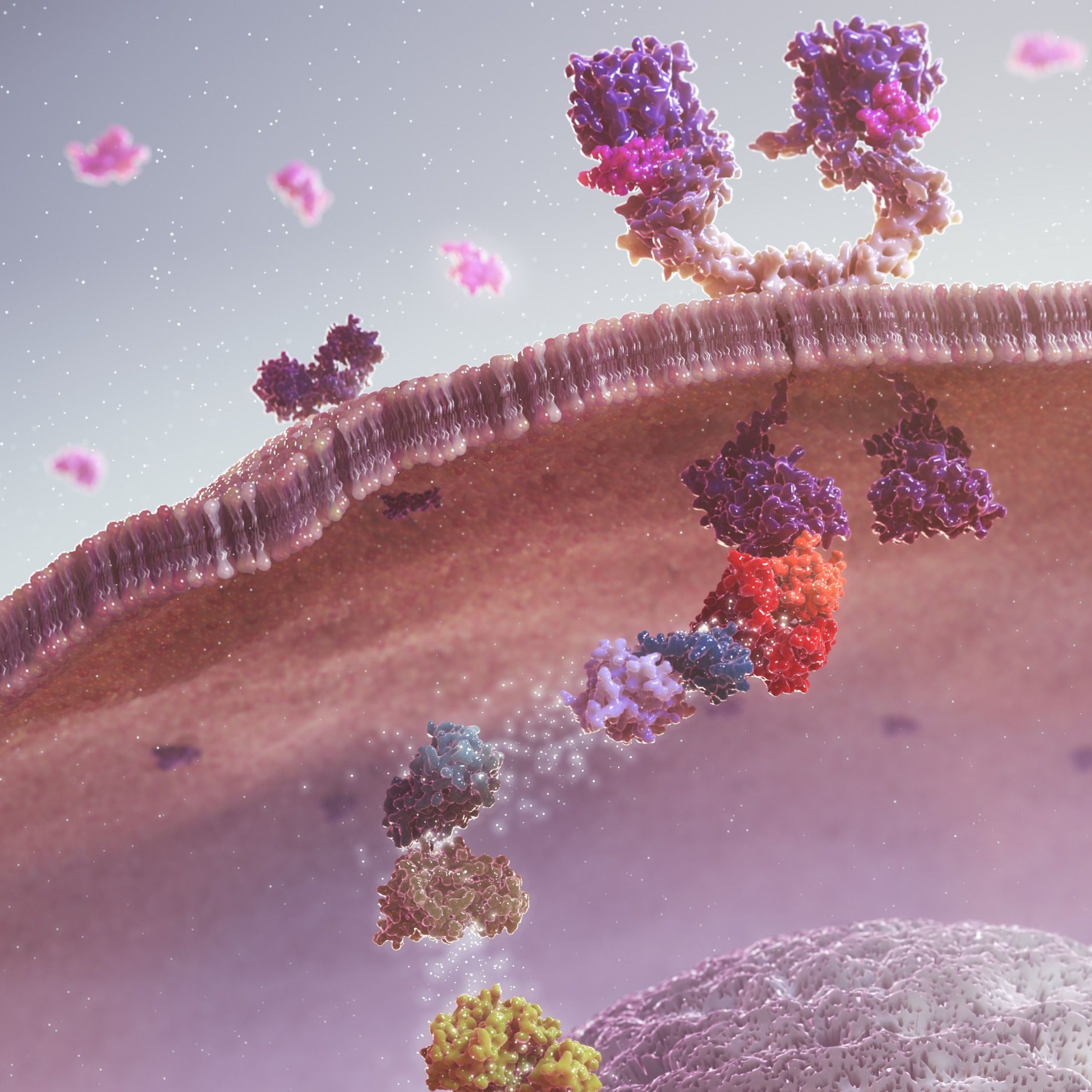 AACR Conference 2023 - AstraZeneca