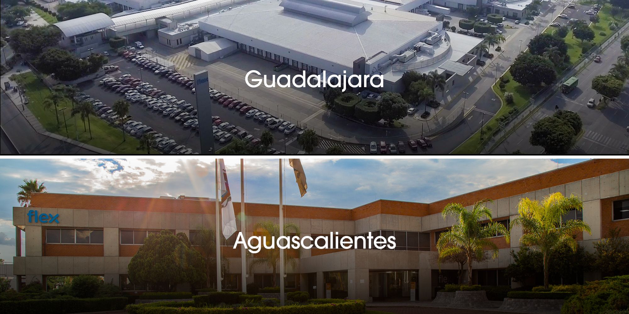 Flex in Mexico - Flex